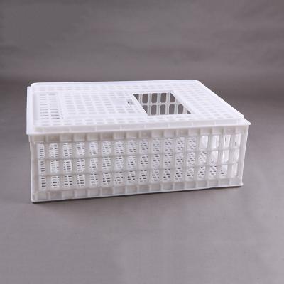 Cina Accessori di plastica crudi dell'attrezzatura del bestiame della scatola 7500g 4500g di trasporto del pollo dei pp in vendita