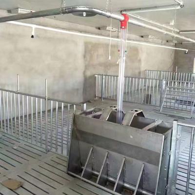 Cina 100 attrezzatura dell'azienda agricola del porcile della penna della scrofa 2.4*0.6m in vendita