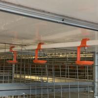 China Designed Automatic Broiler Battery Chicken Cage System For Poultry Farm for sale