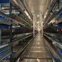 China Designed Automatic Broiler Battery Chicken Cage System For Poultry Farm for sale