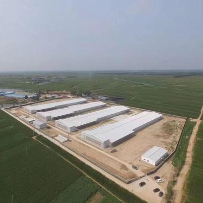 China AZ de het Landbouwbedrijfstructuur van de PlaatBraadkip wierp Bouw af 30 Jaar het Levens Te koop