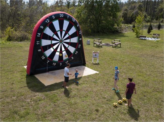 Image result for inflatable dart board