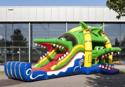 China Crocodile Jumping Castle Inflate Combo Outdoor With CE / UL Blower for sale