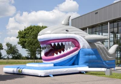 China EN14960 Snappy Shark Jumping Castle Inflate Combo Commercial Grade for sale