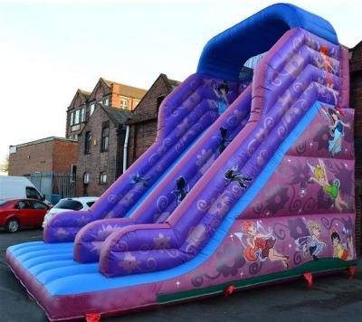 Cina principessa Inflatable Dry Slide, scorrevole rimbalzante gigante porpora di 30ft dello scorrevole di Faires in vendita