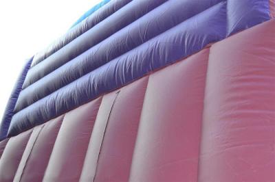Cina principessa Inflatable Dry Slide, scorrevole rimbalzante gigante porpora di 30ft dello scorrevole di Faires in vendita