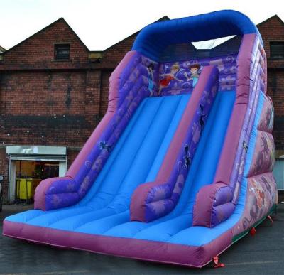 Cina principessa Inflatable Dry Slide, scorrevole rimbalzante gigante porpora di 30ft dello scorrevole di Faires in vendita