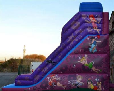 Cina principessa Inflatable Dry Slide, scorrevole rimbalzante gigante porpora di 30ft dello scorrevole di Faires in vendita