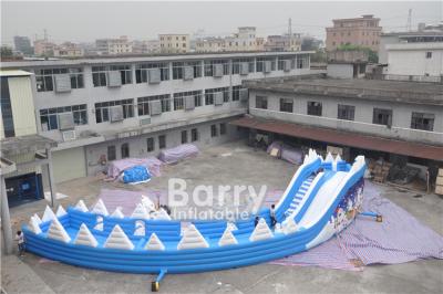 Cina Acquascivoli gonfiabili su misura di esplosione di estate dello scorrevole di slittamento N del dente delle guarnizioni in vendita