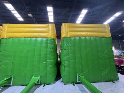China Quality Assurance Lion Inflatable Pool Slides, Inflatable Water Slide For Inground Pools for sale