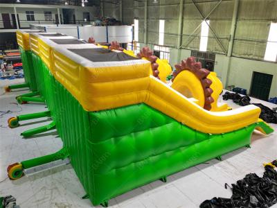 China Quality Assurance Lion Inflatable Pool Slides, Inflatable Water Slide For Inground Pools for sale