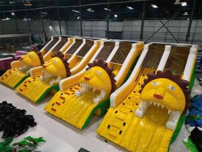 China Quality Assurance Lion Inflatable Pool Slides, Inflatable Water Slide For Inground Pools for sale