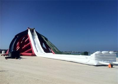 중국 임대할 수 있는 경이로운 뒤뜰 아이를 위한 다량 팽창식 물 미끄럼 판매용