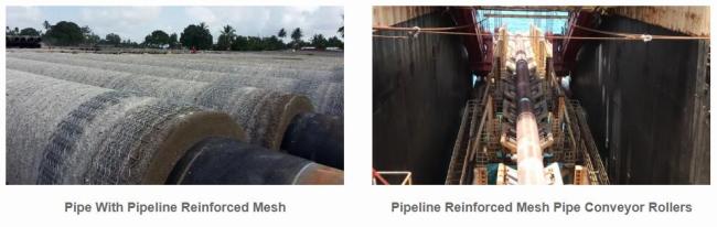 Close-up of Hot Dipped Galvanized Reinforced Wire Mesh