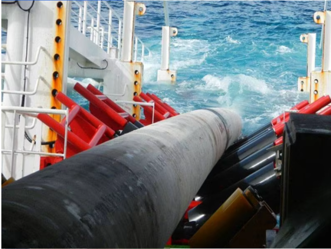 Pipeline reinforced mesh in subsea application