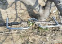 China 13CM Length Galvanized Steel Wire Tree Branch Pressing Tool Anti-Rust Fruit Tree Support Tool for sale