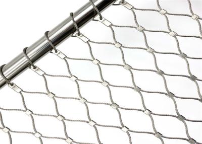 China SS304 Zilveren geferrouleerde en geknoopte kabelweefsel voor dierentuin for sale
