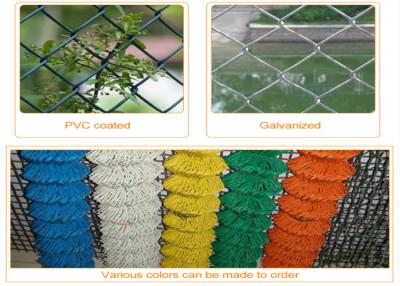 China 50mm*50mm Hole size Diamond shape PVC Coated Chain Link Fence use for Farm for sale