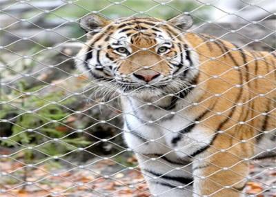 China Stainless Steel Rope Mesh Netting Strong Toughness Anti - Corrosive For Animal Zoo for sale