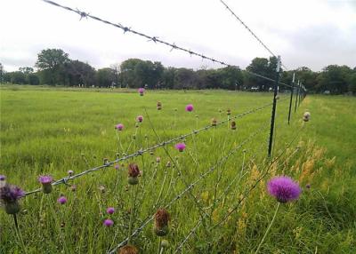 China Agriculture 2.5mm Galvanized Barbed Wire for sale
