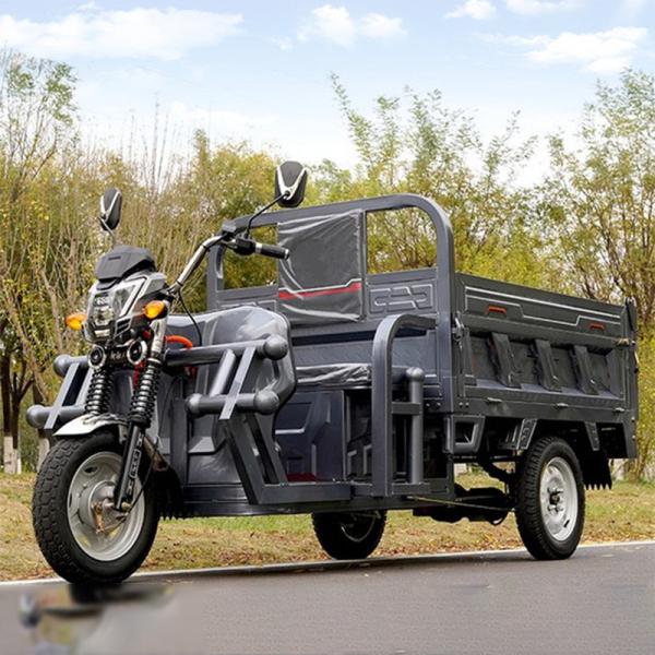 Quality 60V45Ah Lead Acid or 60V100Ah Lithium Ion Batteries All Tube Type Electric Tricycle for Passenger 1000w Adult for sale