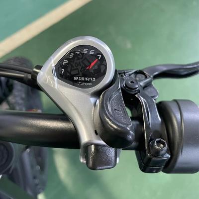 China 2024 Elektrische fiets met aluminium frame en lange levensduur lithiumbatterie Te koop