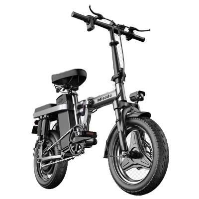 China Outdoor E Bike 20 Inch Folding Electric Bike 48v 250w 25km/H Bicicleta Elétrica com Motor Hub traseiro à venda