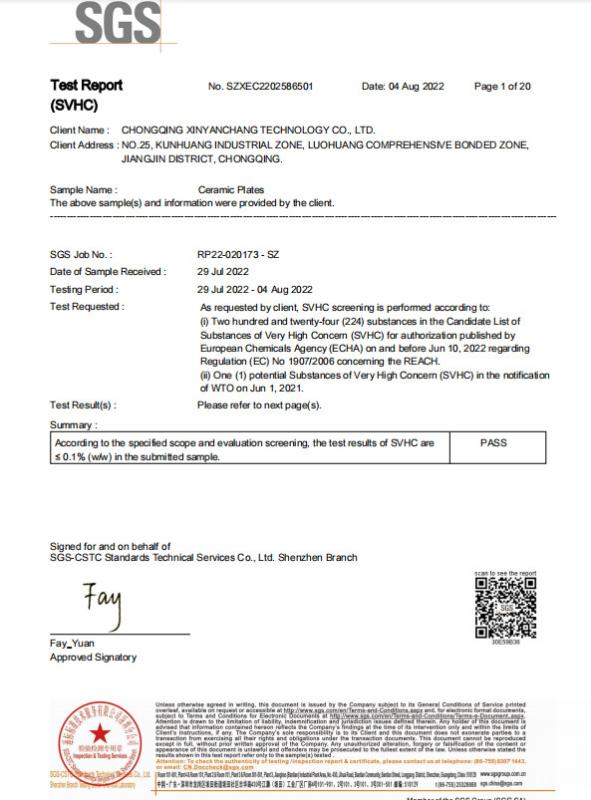 Report - Chongqing Haodong Technology Co., Ltd.