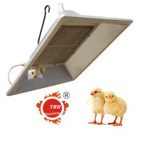 China Infrared Catalytic Gas Brooder Heater 2.46 kW Low Consumption Poultry Farm Heating Equipment for sale