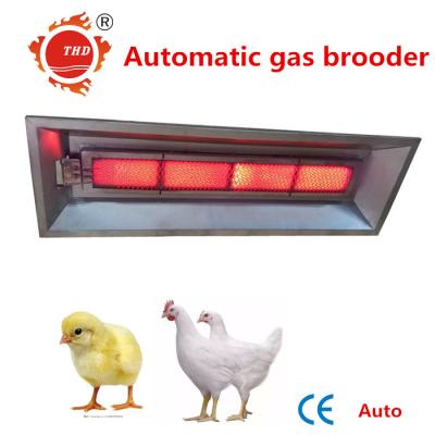Cina Pollame NG GPL Lampada termica a gas naturale per pulcini THD6808 Autoaccensione in vendita