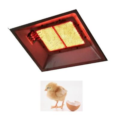 China Aquecedor de chocadeira infravermelho montado na parede Aquecedor de cerâmica interno para pássaros THD2608 à venda