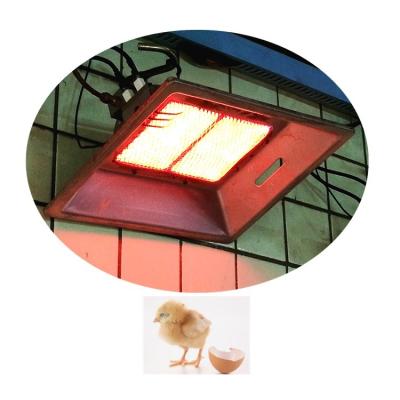 China Aquecedor de chocadeira infravermelho montado na parede Aquecedor de cerâmica interno para pássaros THD2608 à venda