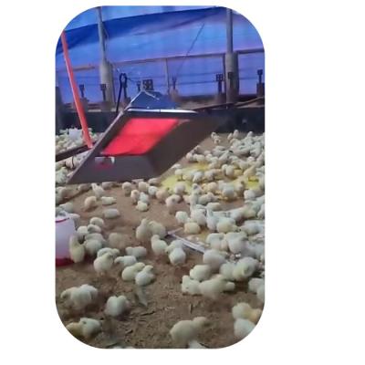 Cina Chicken Farm Poultry Chioccia Riscaldatore 4 modello Per Maiale Chick Shed Safty in vendita