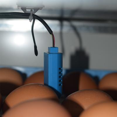 Chine Mini incubateur d'oeufs ABS 36 entièrement automatique pour poulet canard oie oiseau à vendre