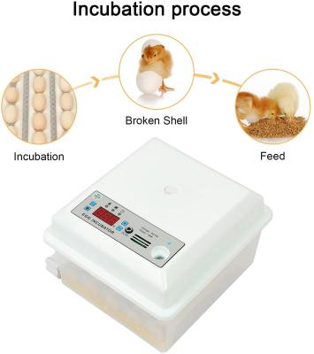 Chine Productivité élevée automatique d'ABS de PE de pp d'incubateur d'oeufs d'oiseau de poulet de 36 à vendre