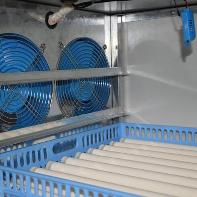 Chine Opération facile automatique de machine d'éclosion d'oeufs de poulet de canard d'oie d'oiseau à vendre