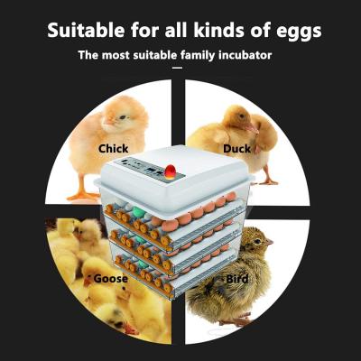 Chine Opération facile automatique de machine d'éclosion d'oeufs de poulet de canard d'oie d'oiseau à vendre