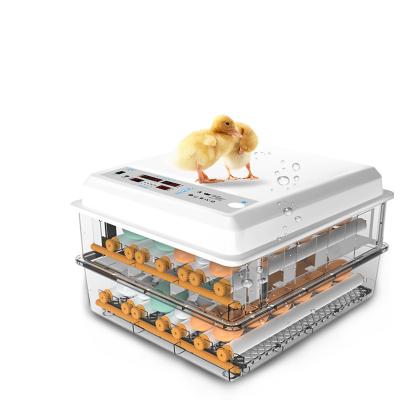 Chine Incubateurs automatiques d'éclosion d'oeufs de caille de canard 110V / 220V / DC12V à vendre