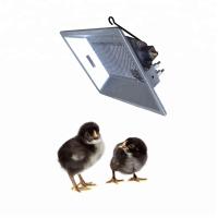 China 2.7kg LP Gas Brooder Heater 320x270x130mm for 800-1000 Chicks for sale