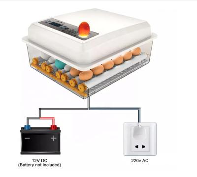 Chine Opération facile automatique de machine d'éclosion d'oeufs de poulet de canard d'oie d'oiseau à vendre