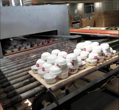 China Op maat gemaakte keramische ovens Alternatieve brandstoffen voor het laden van patronen op basis van de eisen en vereisten van de klant Te koop