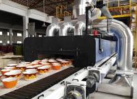 China Customized Electric Ceramic Roller Kiln with Programmable Firing Profiles and Energy-Efficient Heating Elements for Industrial Manufacturing for sale