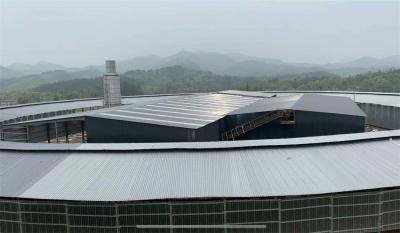 중국 스테인리스 스틸 외관 이동 오븐 K 타입 열 쌍 및 프로그래밍 가능한 타이머 판매용