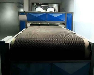China Efficiency and Customization Combined Continuous Mesh Belt Kiln for Optimal Output for sale