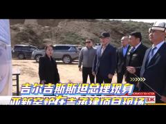 220V 이동 오븐 전기 가스 전력 휴대 오븐 도자기 벽돌 세라믹