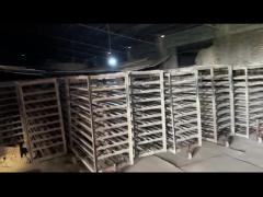Cottura di tegole rosse in forno a spintore