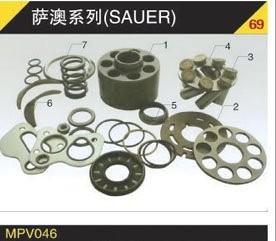 Cina Il pistone idraulico Sauer pompa MPT (MFO) 35 in vendita