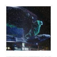 Quality Customized Naked Eye 3D Indoor and Outdoor Display Ultra HD LED Advertising for sale