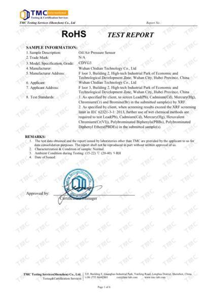 RoHS Test Report - Wuhan Chidian Technology Co., Ltd