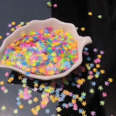 China Wedding Decoration Mixed Neon Marajuana Glitter Leaf Craft Nail Art Body Decor Variety Butterfly Number Star Ribbon PET for sale